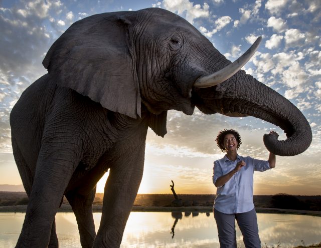 Amarula®: A Strong Brand Personality that is Making a Stand to Save the ...