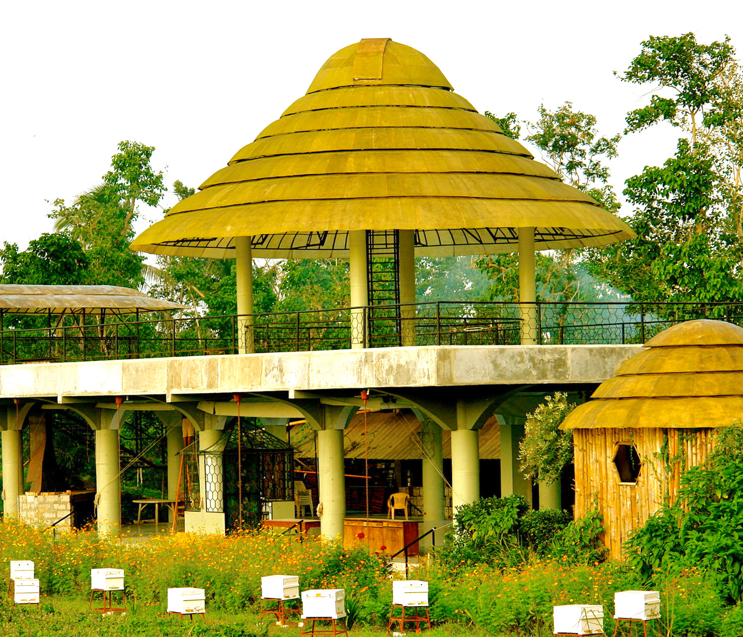 Ilog Maria®: A Brand Built on its Singular Focus on Honeybees ...