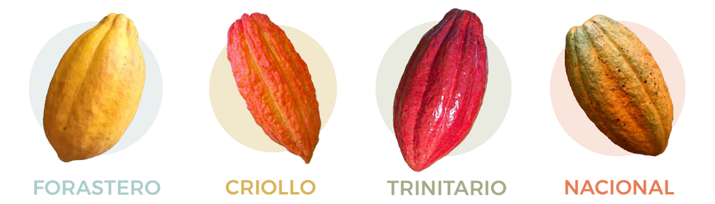Malagos Chocolate®: A Fine Chocolate Brand from the Philippines Made ...