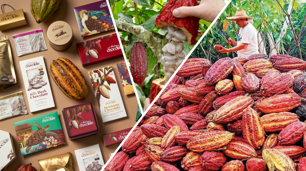 Malagos Chocolate®: A Fine Chocolate Brand from the Philippines Made ...